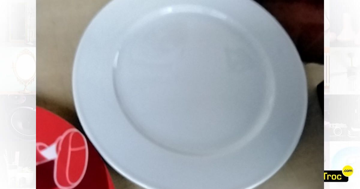 Achat PLAT , occasion - Ales | Troc.com