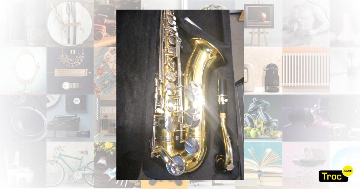 Achat INSTRUMENT DE MUSIQUE SAXOPHONE TENOR CECILIO occasion - Ahuy ...